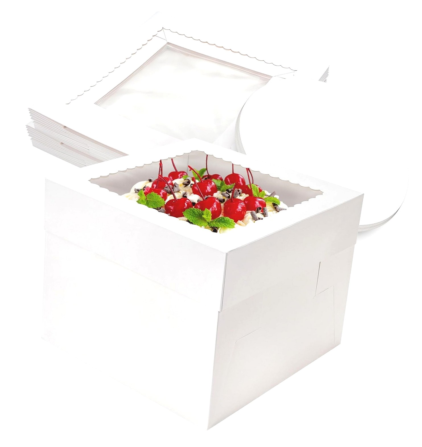 Highcool Cake Boxes 10x10x8 inch White Tall Cake Boxes with Window ...