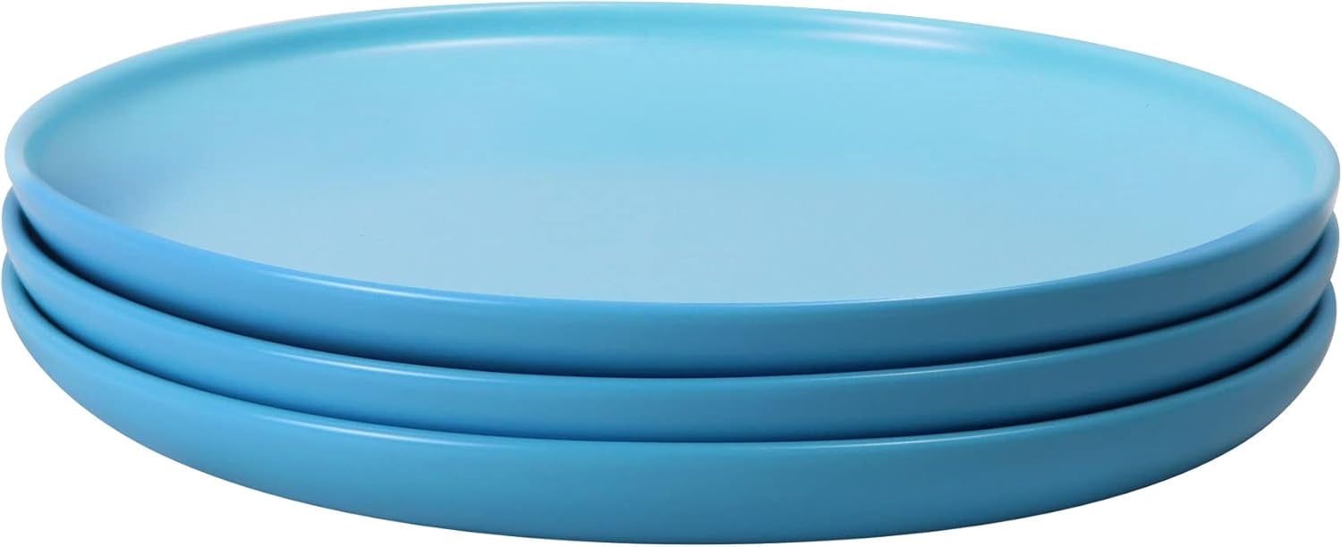 Highcool Ce Dinner Plates Set, 10 In Matte Glaze Salad Plates ...