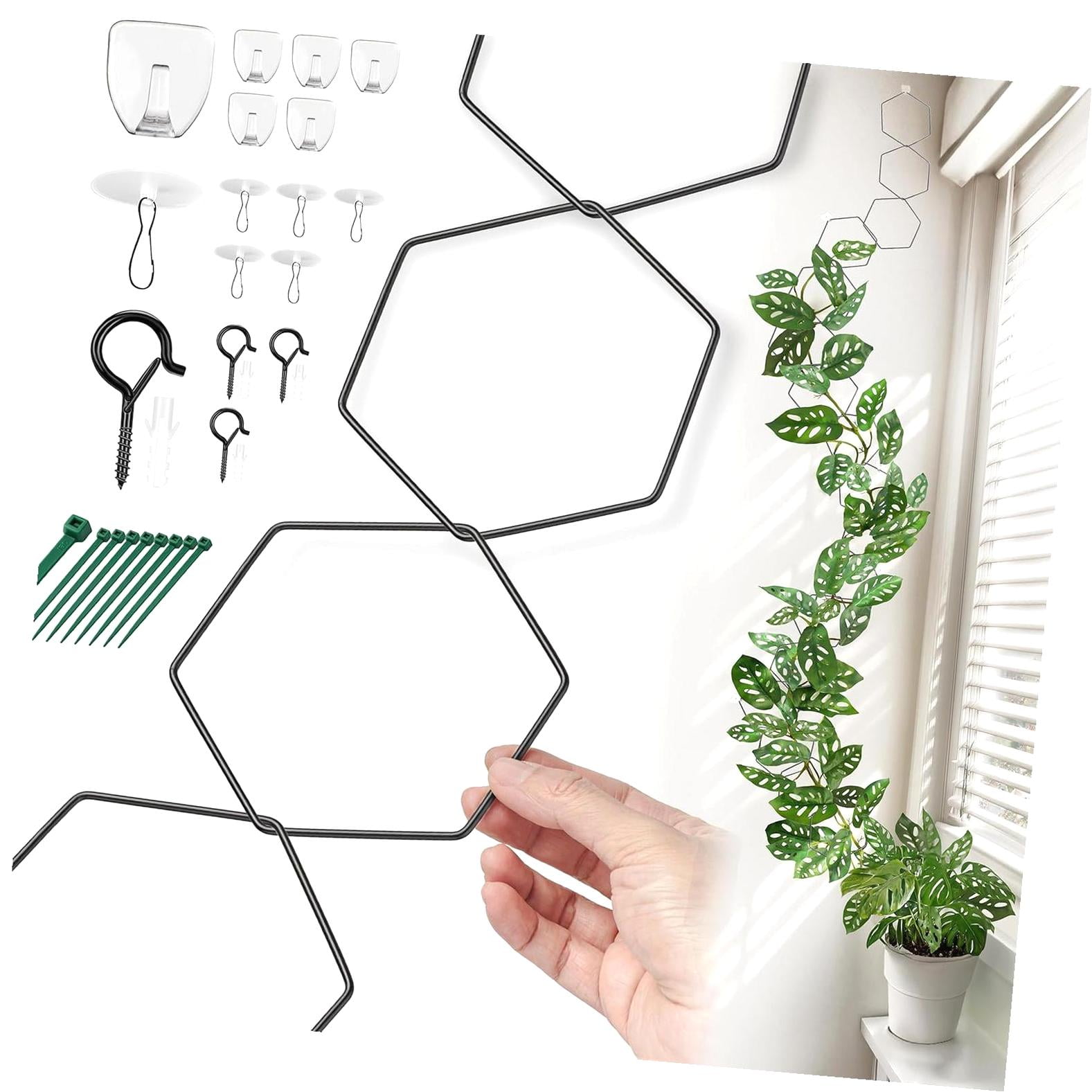 Highcool Chain Trellis for Climbing Plants - Supports Monstera, Pothos ...