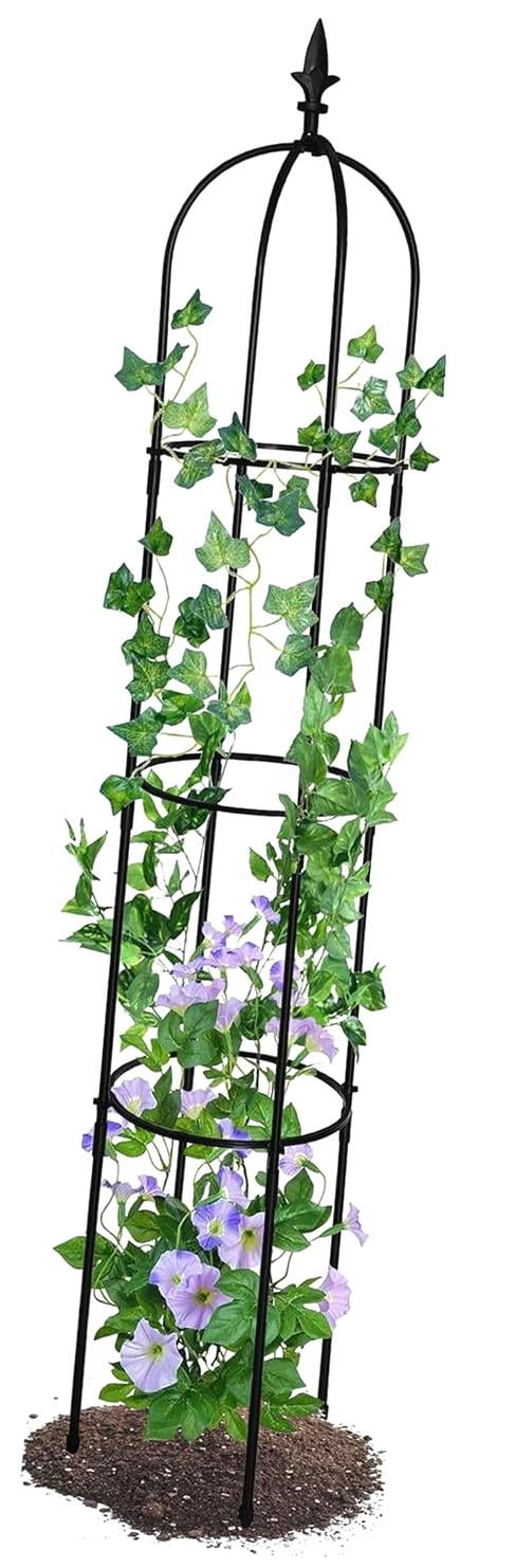 Highcool Garden Obelisk Trellis for Climbing Plants 6 Ft Rose Bush ...