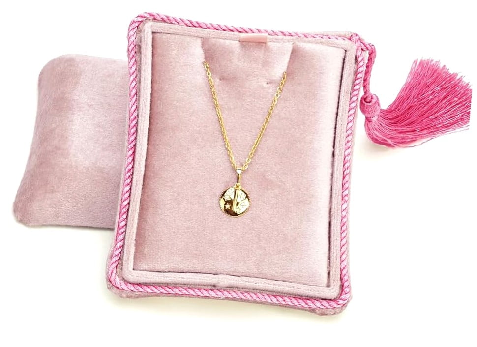 Highcool Necklace Boxes, Velvet Small Earring and Necklace Case for ...