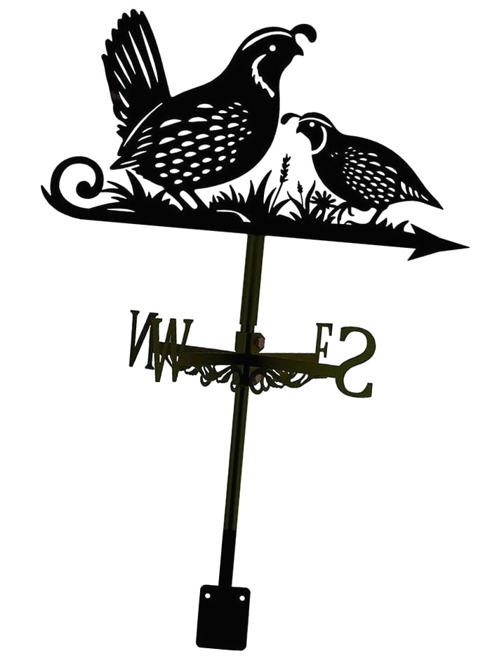 Highcool Quail Weather Vane Birds Wind Vanes for Yard Metal Weathervane ...