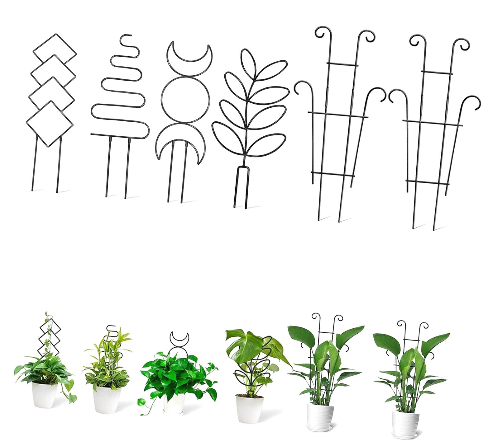 Highcool Set of 6 Plant Supports, Including 2 Taller Trellises for ...