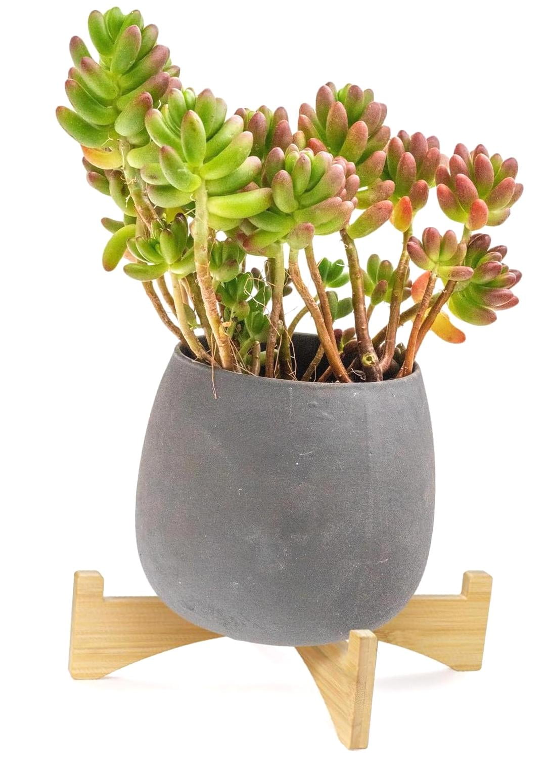 Highcool Short Wooden Plant Stand, Single Tier Planter Stand, Indoor Plant Holder Stand, Mid ...