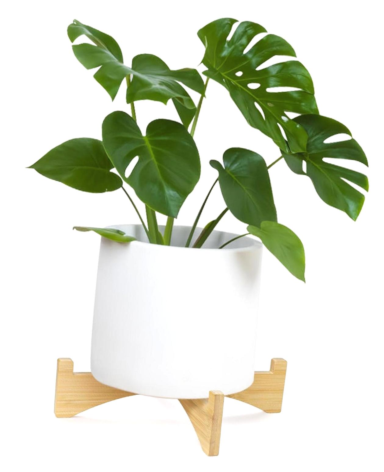 Highcool Short Wooden Plant Stand, Single Tier Planter Stand, Indoor ...