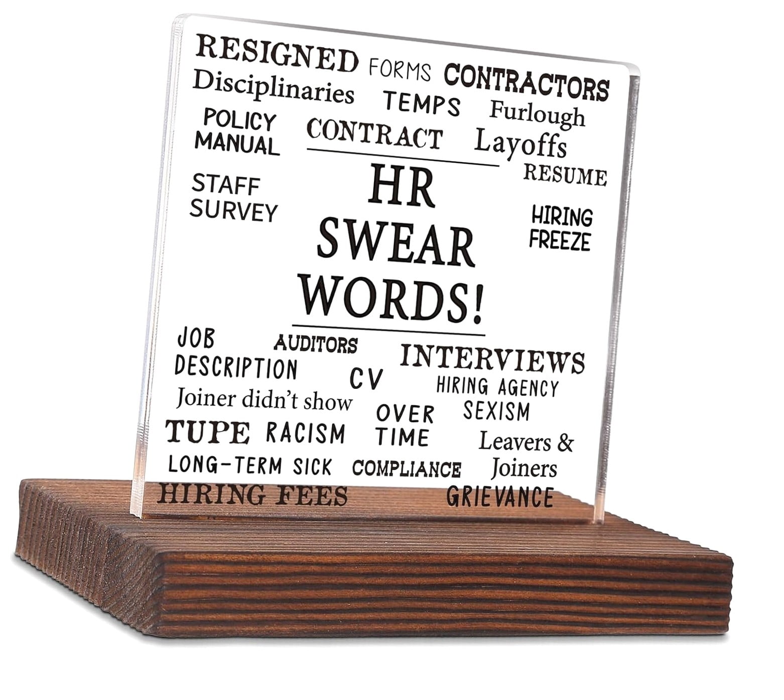 Highcool Swear Words Desk Sign for Resource Professionals, Funny Office ...