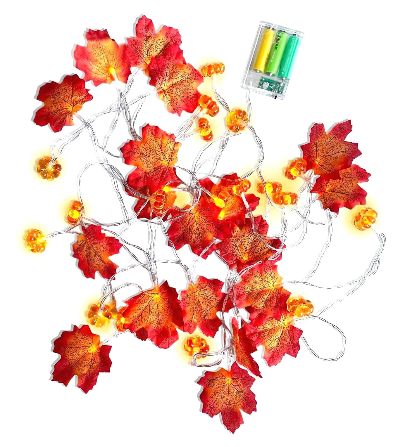 Highcool Thanksgiving Decor: Battery-Operated Fall Pumpkin and Maple ...