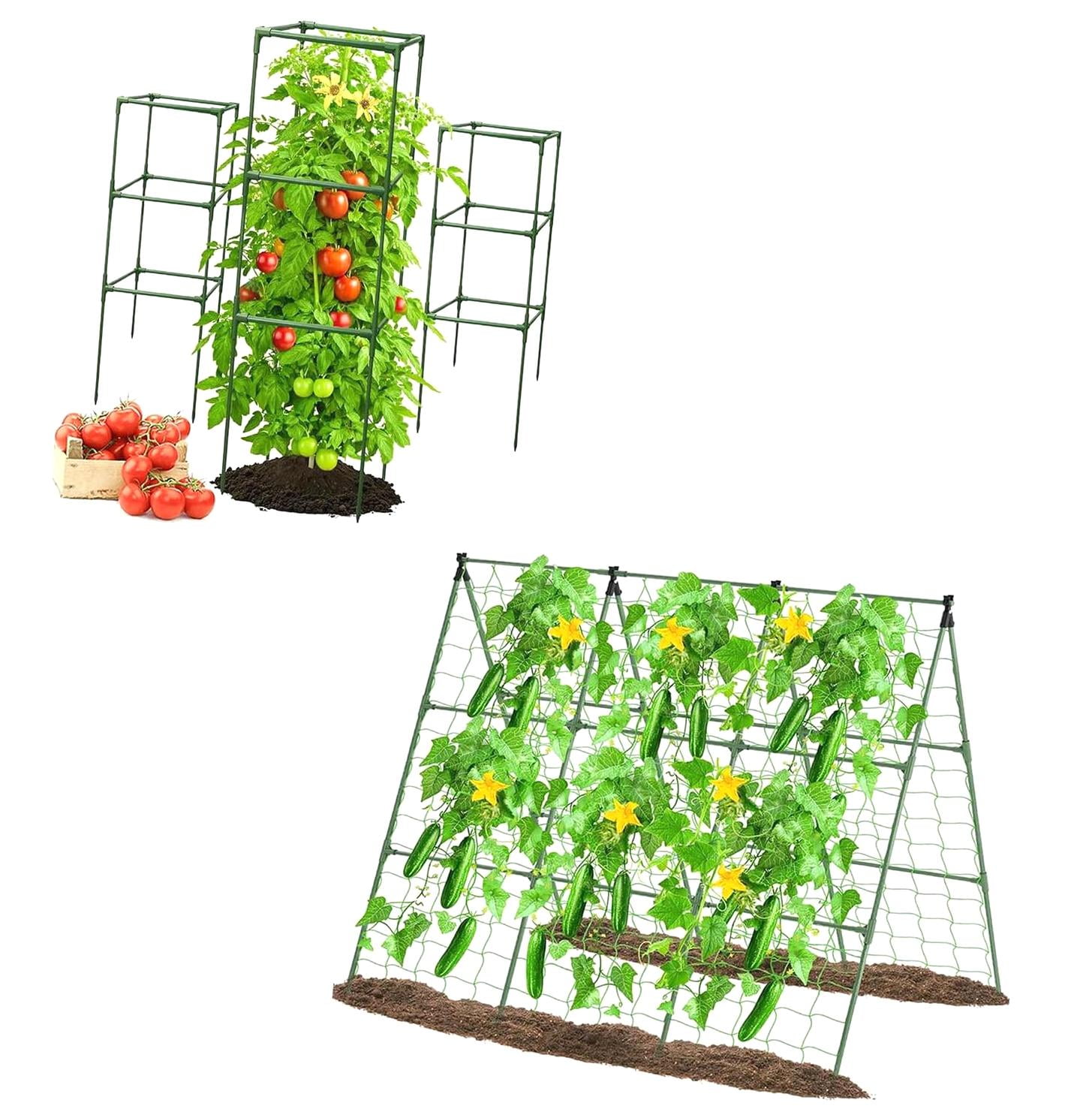 Highcool Tomato Cage Square(3 Pack - Up to 41") and 53x53 Cucumber ...