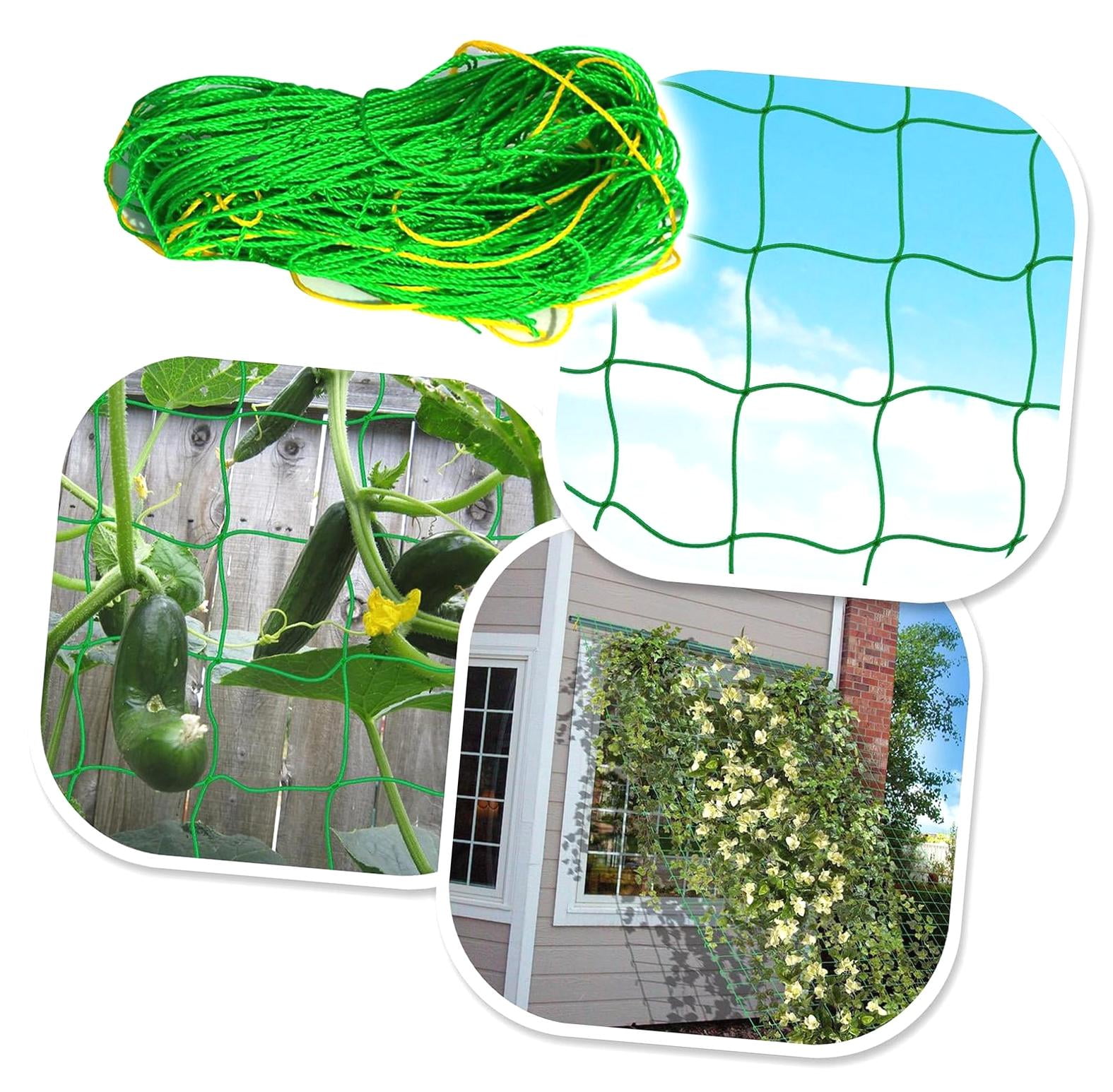 Highcool Trellis Netting Plant for Climbing Plants, Fruits, Vine ...