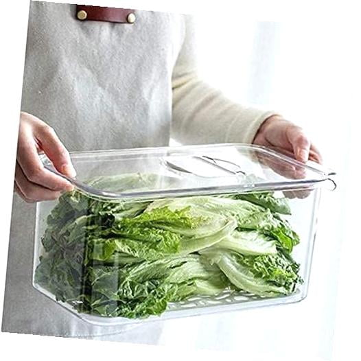 Highcool Vegetable Fruit Containers Fridge Containers,Freezer Produce ...