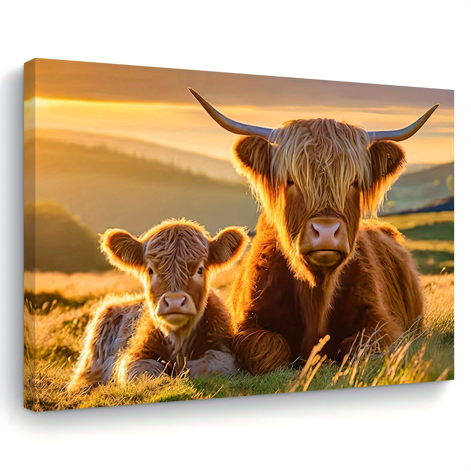 Highland Cattle Canvas Wall Art with Wood Frame - Rustic Yellow Hair ...