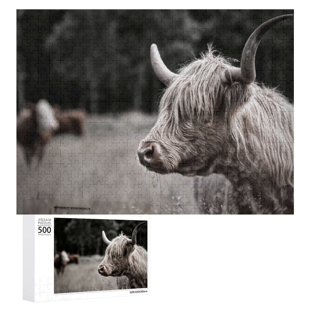 Highland Cattle Cow with Bright Long-haired Fur Jigsaw Puzzles 1000 ...