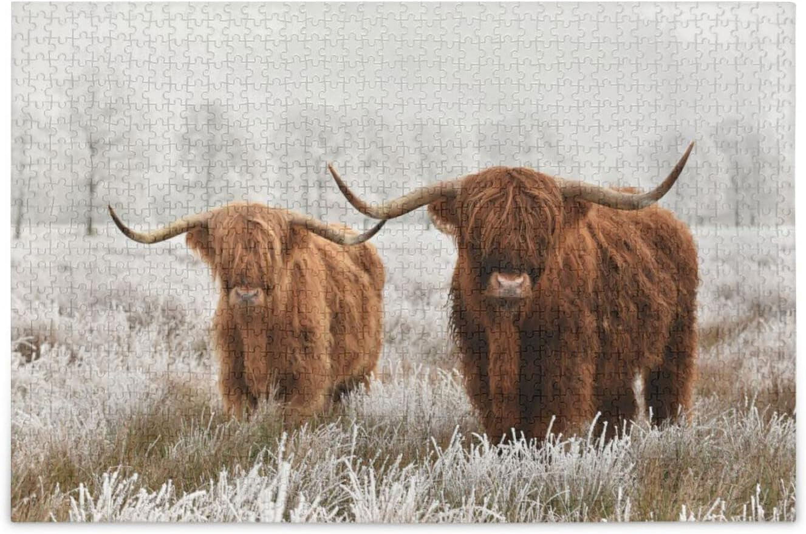 Highland Cattle Jigsaw Puzzles for Adults 500 Piece, Puzzles 500 Pieces ...