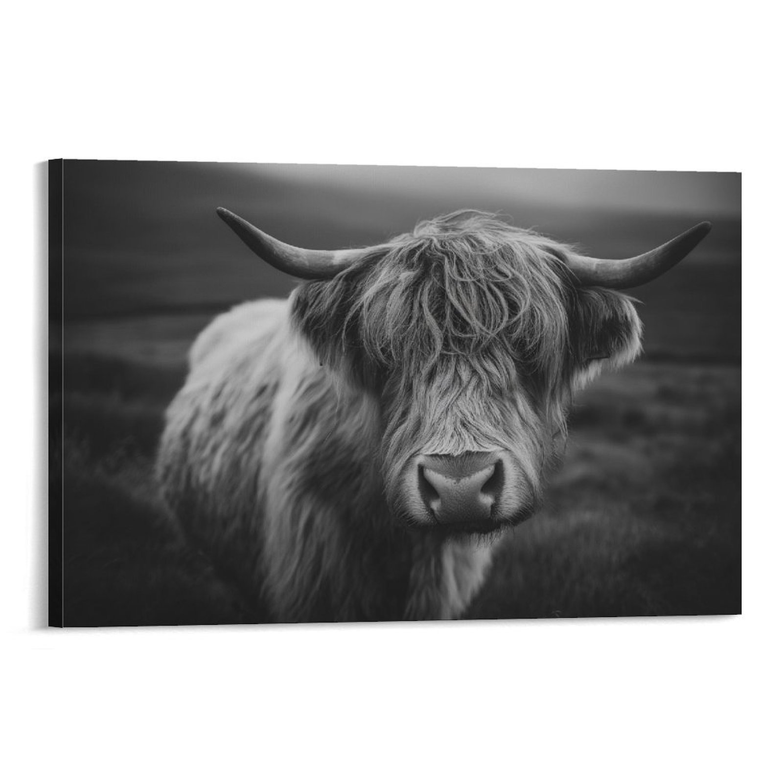 Highland Cattle Posters Wall Art Decorative Posters Room, Bathroom ...