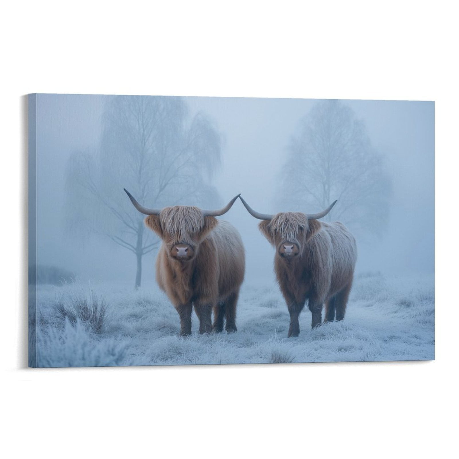 Highland Cattle Posters Wall Art Decorative Posters Room, Bathroom ...