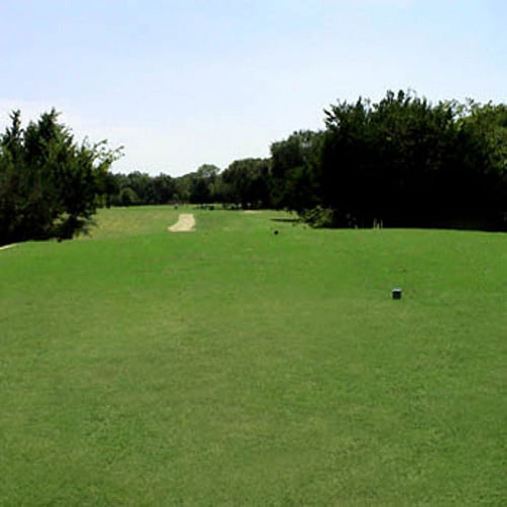 Highland Colonial Bent grass Seed - Colonial Grass Seed - 50 LBS ...