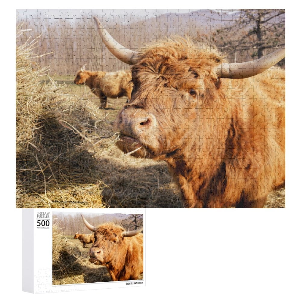 Highland Cow in A Field with Mountains Jigsaw Puzzles 500 Pieces for ...