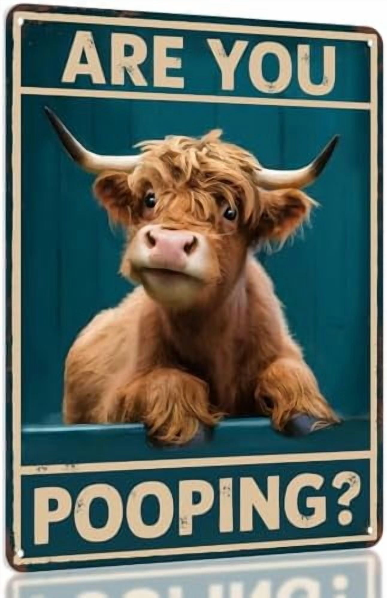 Highland Cow Bathroom Decor: Rustic "Are You Pooping?" wall art ...