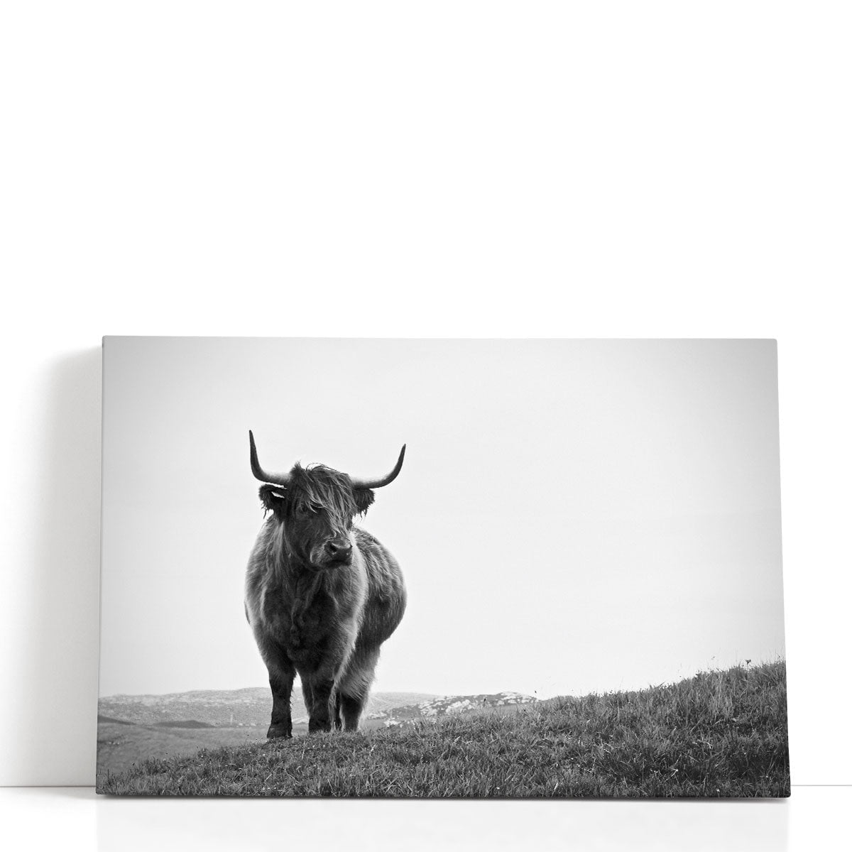 Highland Cow - Black and White - Wrapped Canvas Print Wall Art | 60" W ...