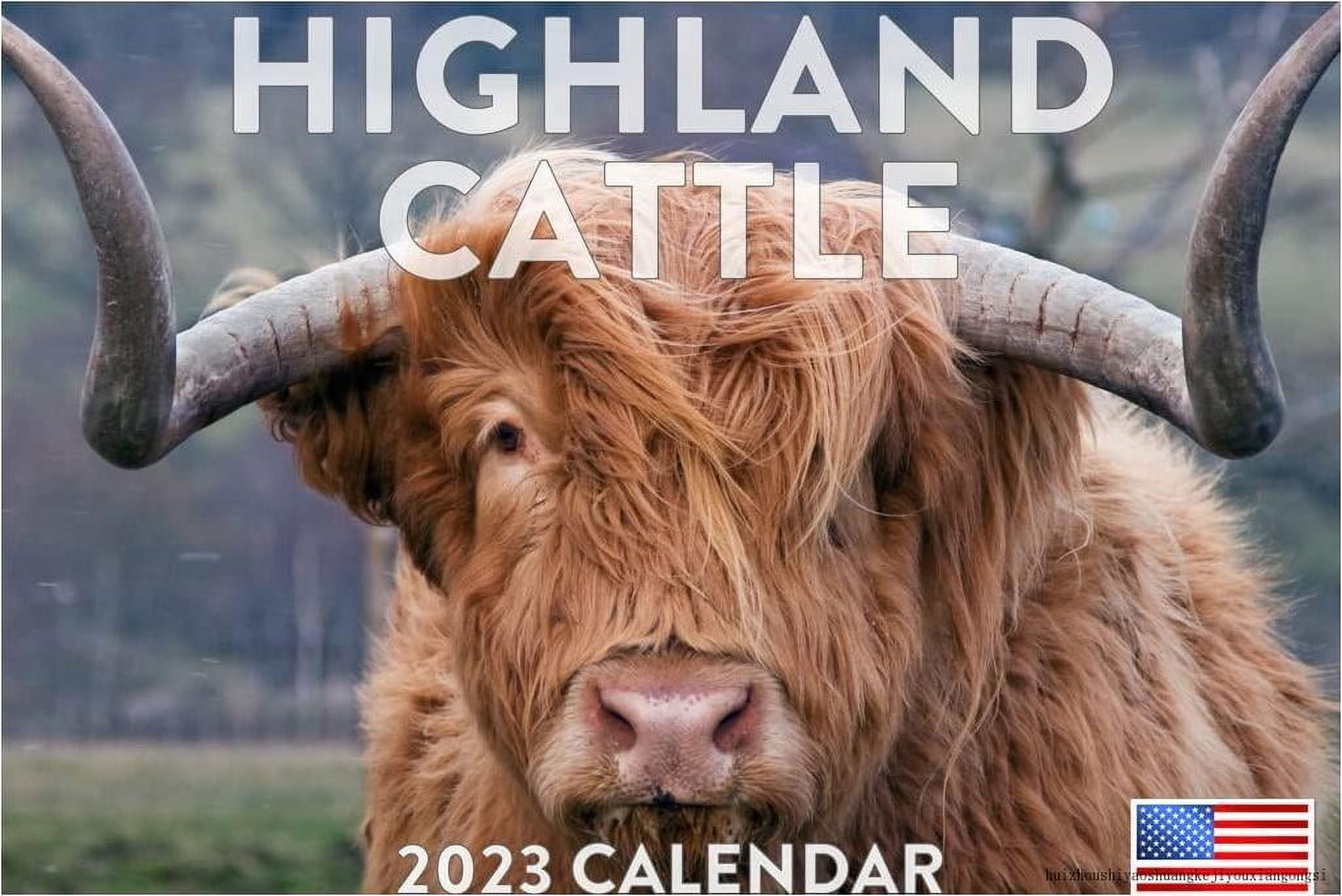 Highland Cow Calendar 2023 Monthly Wall Hanging Calendars Farm Cattle ...