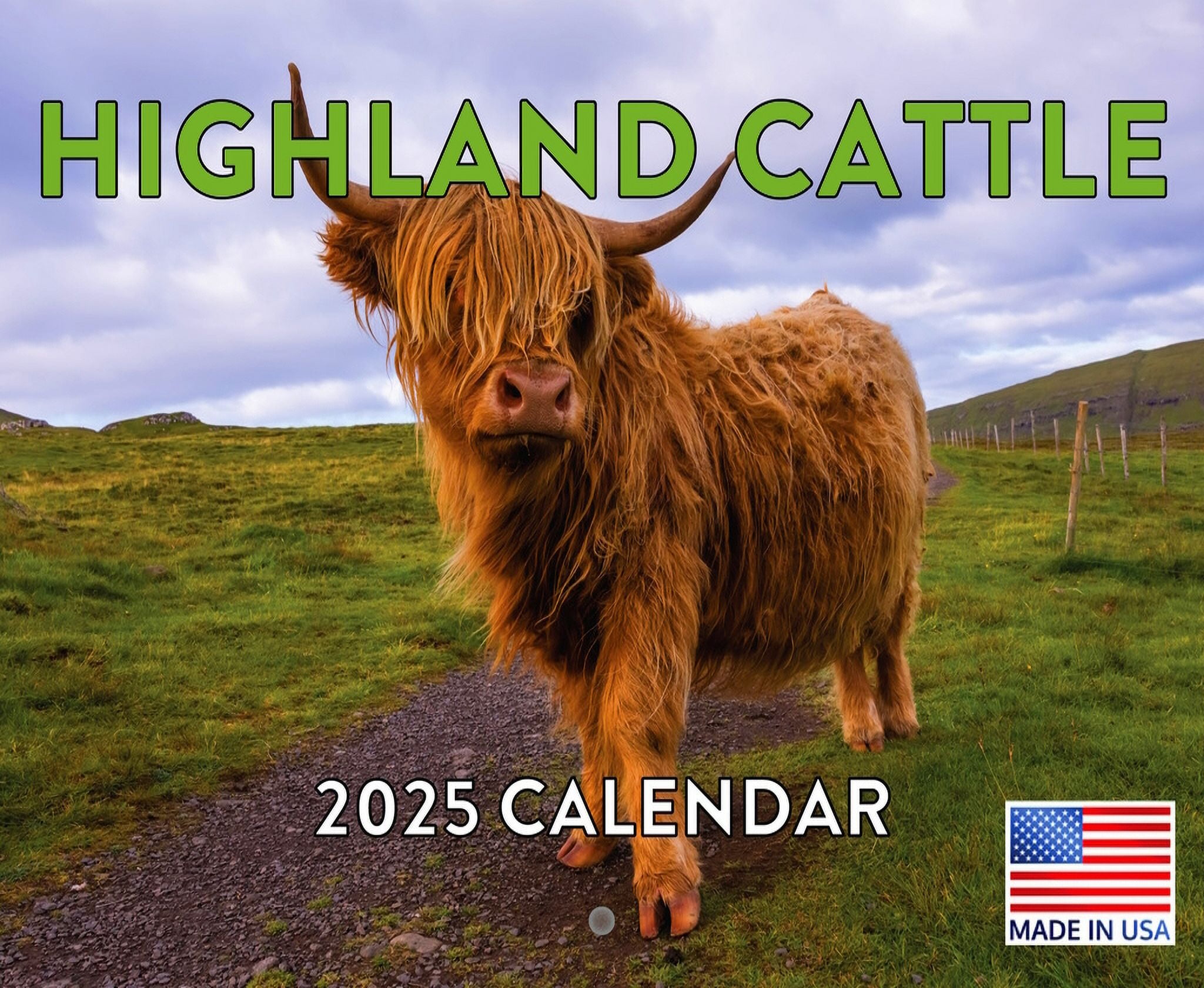 Highland Cow Calendar 2025 Monthly Wall Scottish Hyland Cattle ...