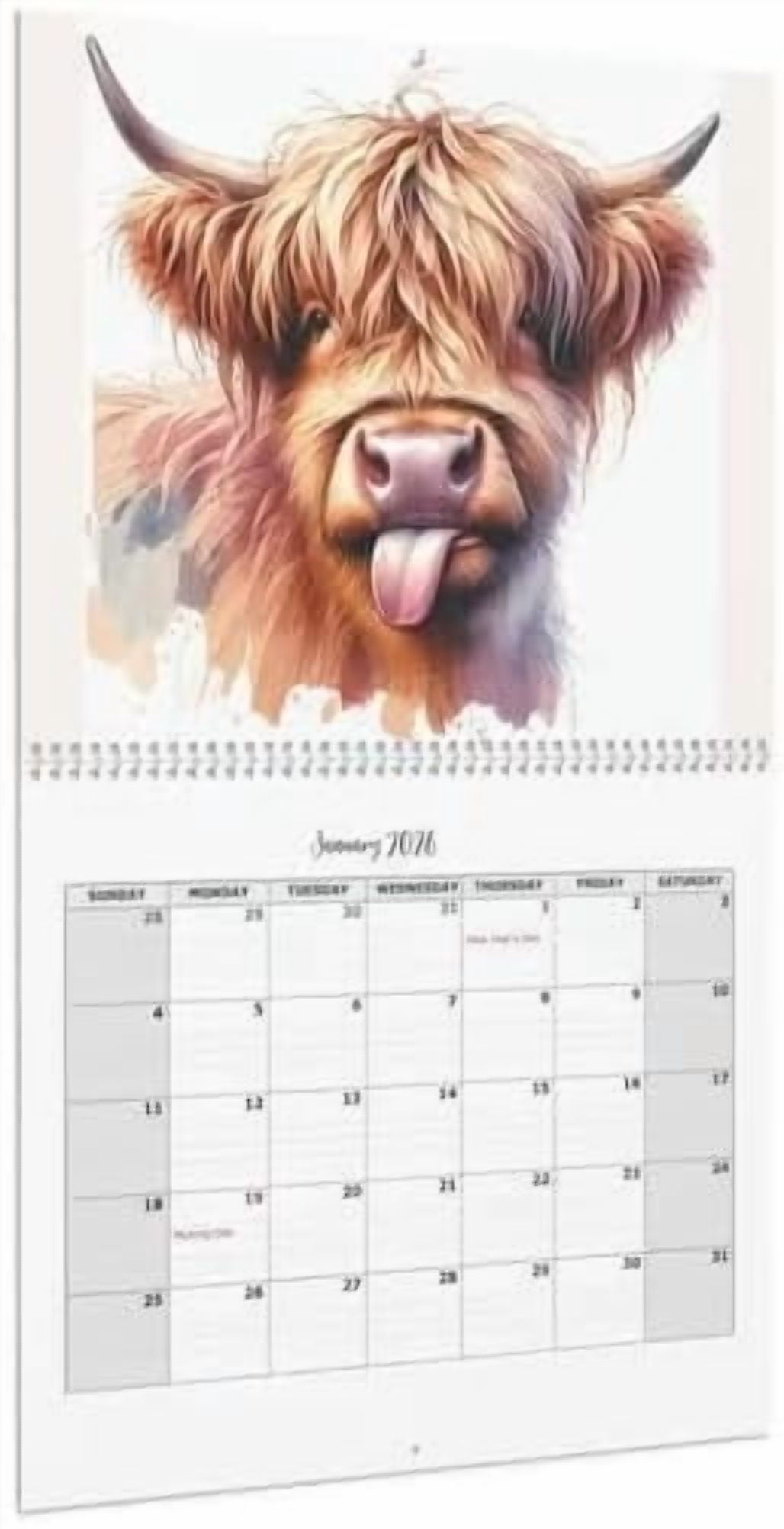 Highland Cow Calendar 2026 – Rustic Farmhouse Wall Art & Monthly ...