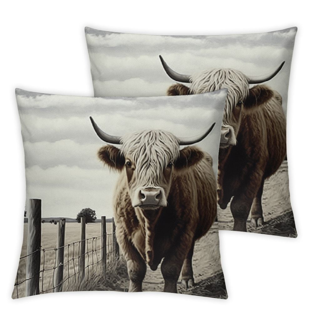 Highland Cow Decorative Pillow Cover，Interesting Highland Cow Print ...