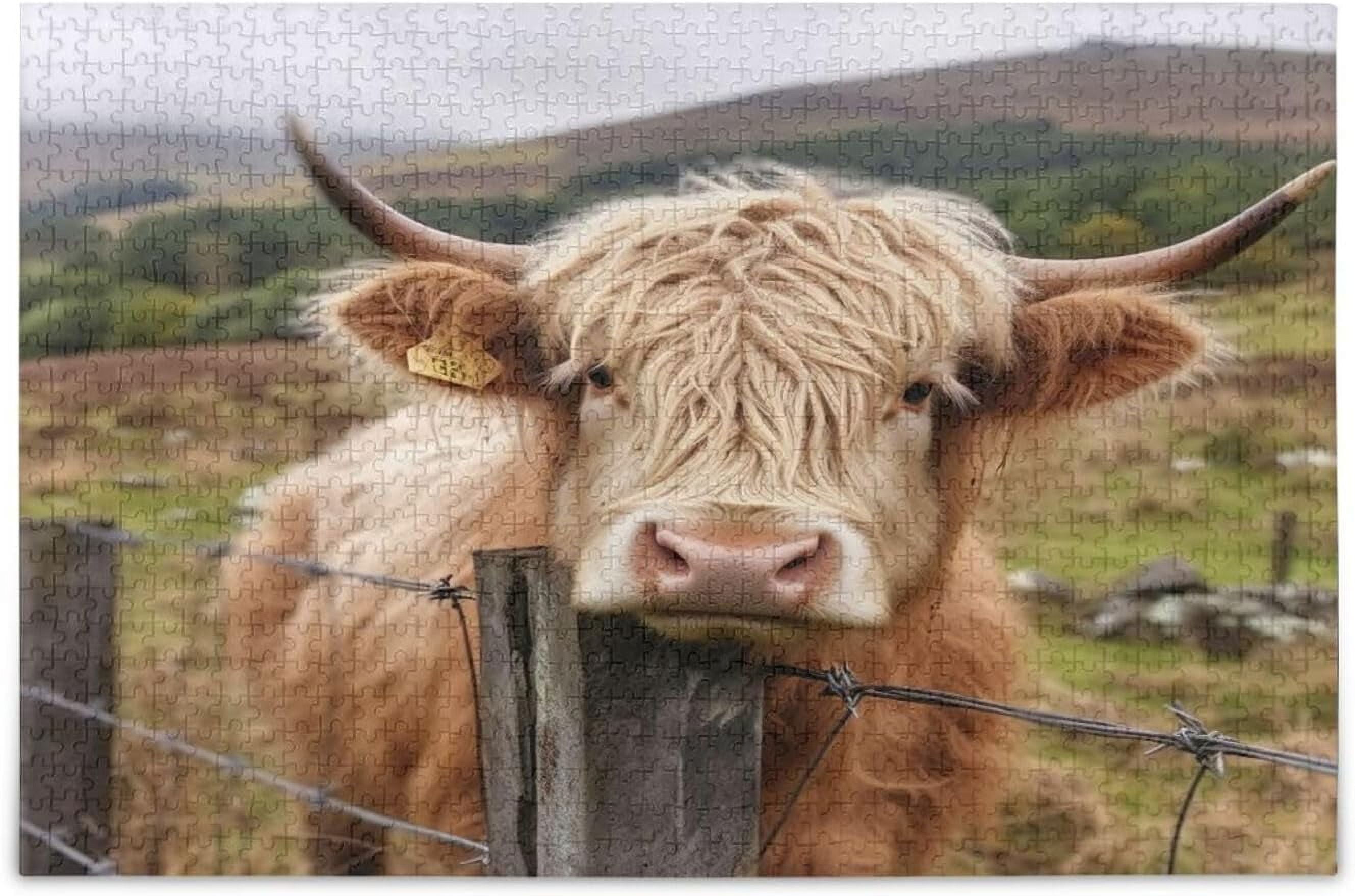Highland Cow Jigsaw Puzzles 1000 PiecesPuzzles for Adults Family Game ...