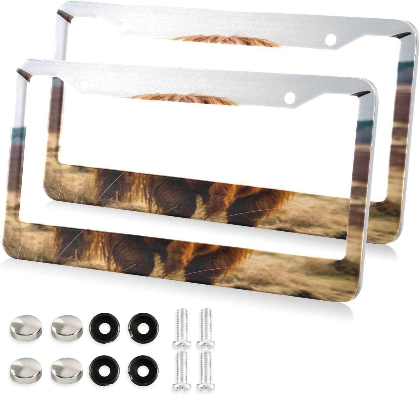 Highland Cow License Plate Frame, Aluminum Car Tag Frames, 2 Pack ...