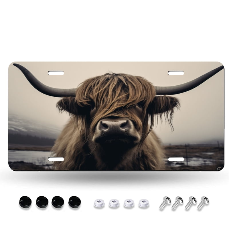 Highland Cow With Long Shaggy Hair and Large Horns License Plate Frame ...