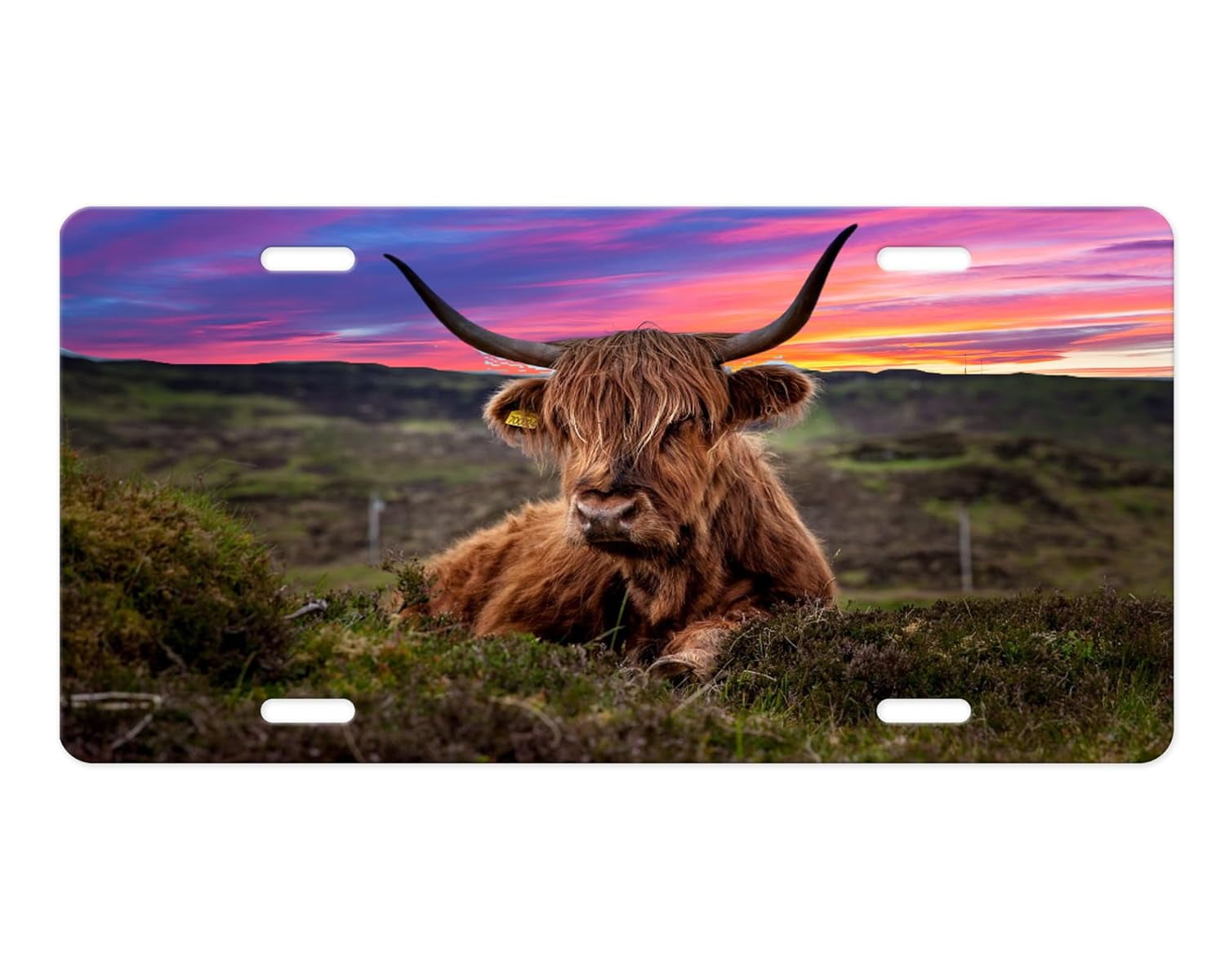 Highland Cow Vanity Decorative Aluminum Front License Plate, Car ...
