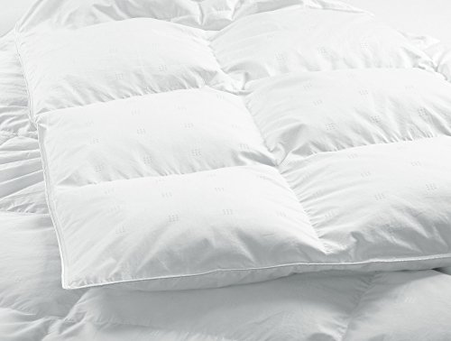 Highland Feather 800 Loft European White Down Granoble Duvet/Comforter ...