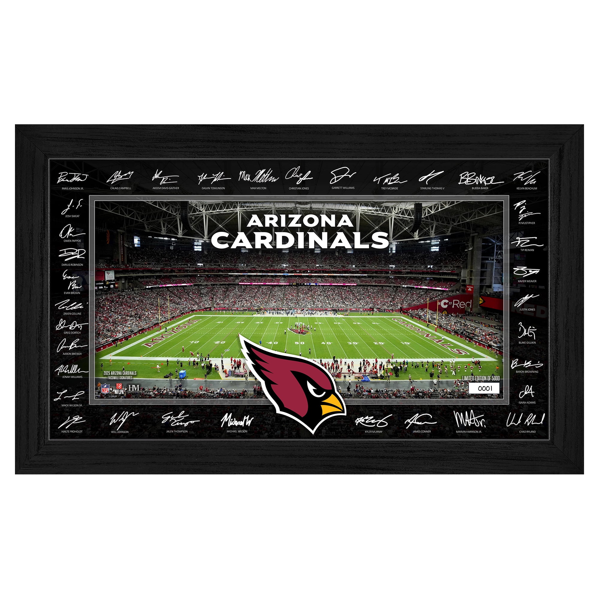 Highland Mint Arizona Cardinals 12" x 20" 2025 Signature Gridiron ...