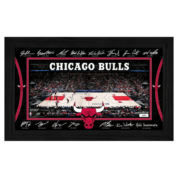 Highland Mint Chicago Bulls 2025 Signature Court Framed Picture ...
