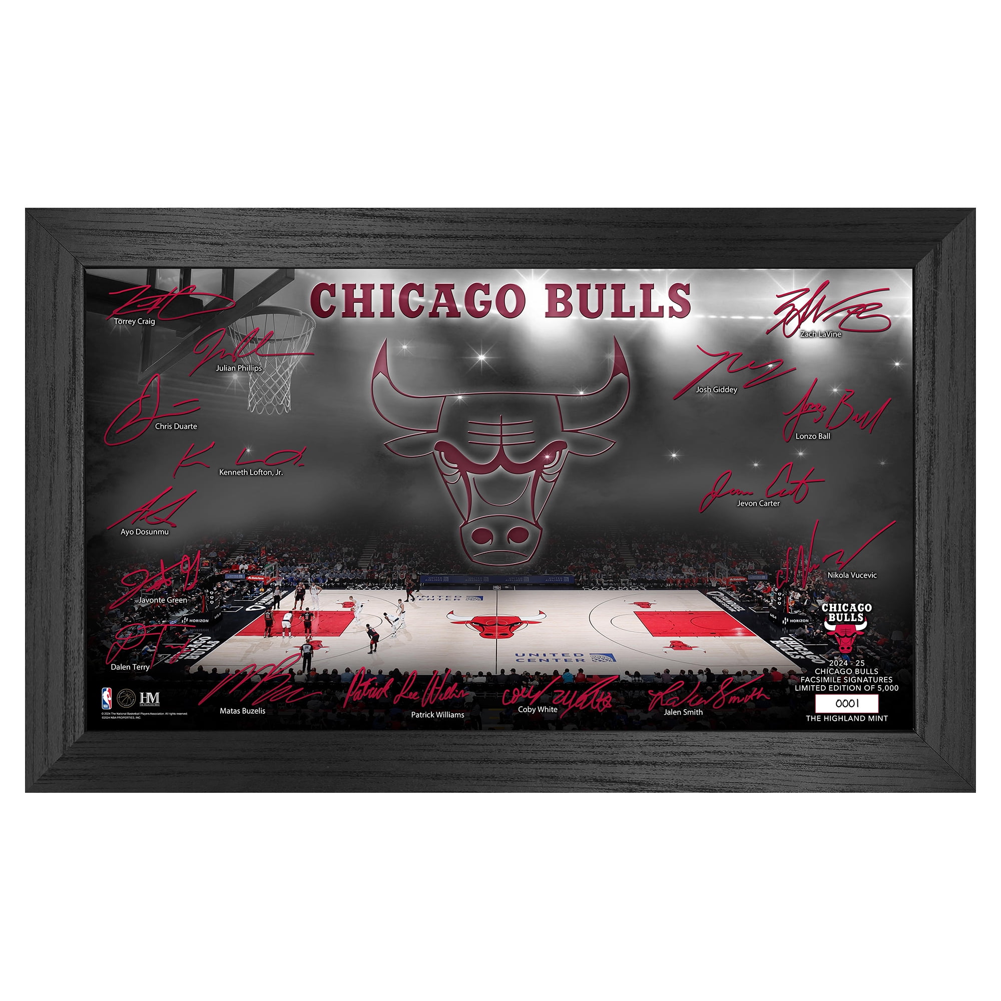 Highland Mint Chicago Bulls Signature Court Print - Walmart.com