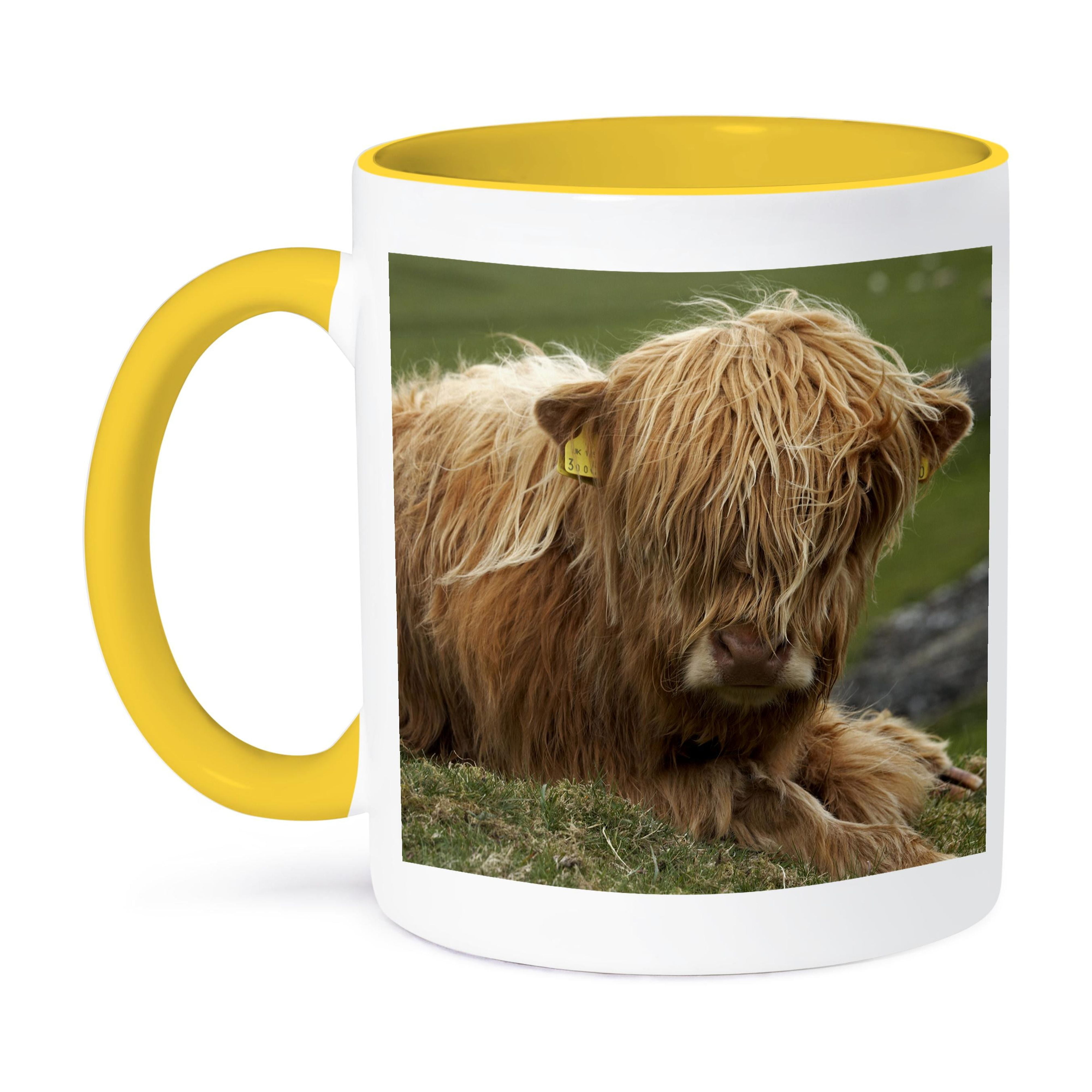 3dRose, Highland cow, Farm animal, North Yorkshire, England - EU33 ...