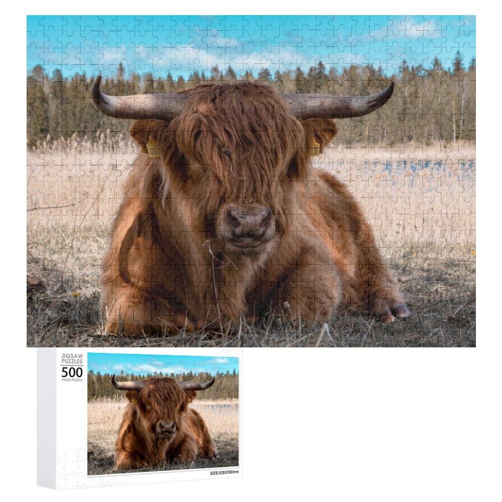 Highlander and Limousine Cow, Nature Jigsaw Puzzles 500 Pieces for ...