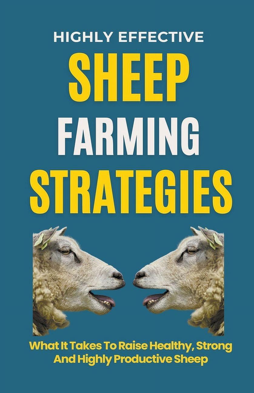 Highly Effective Sheep Farming Strategies: What It Takes To Raise ...