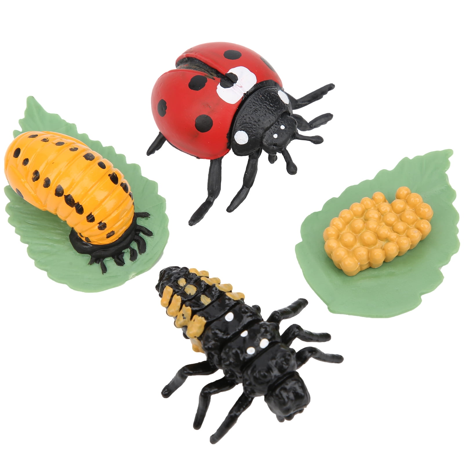 Highly Simulation Insect Model Toy Educational Children Kid Ladybug ...