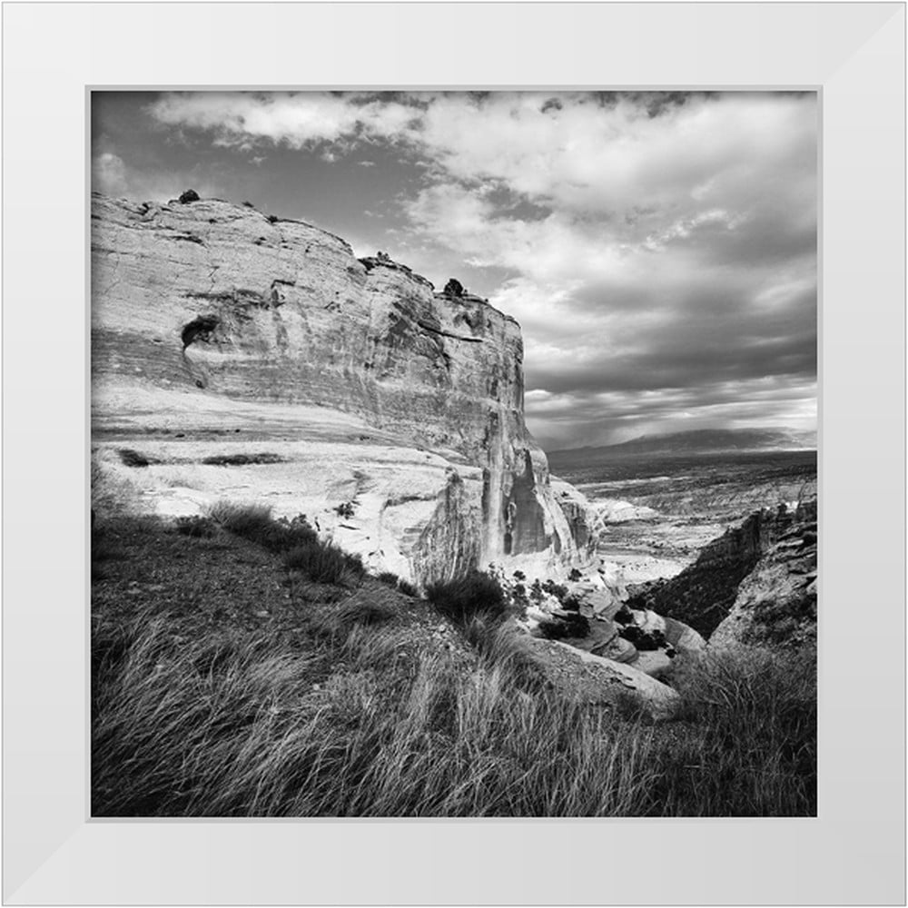 Highsmith, Carol 12x12 White Modern Wood Framed Museum Art Print Titled ...