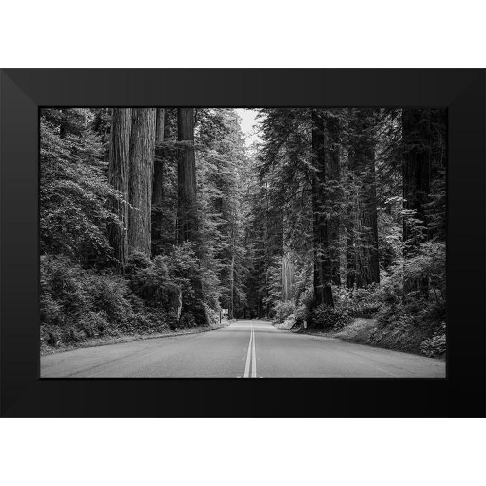 Highsmith, Carol 14x11 Black Modern Framed Museum Art Print Titled ...