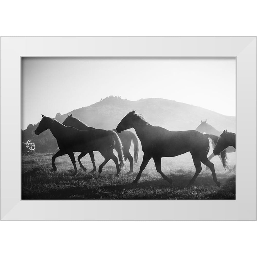 Highsmith, Carol 24x17 White Modern Wood Framed Museum Art Print Titled ...