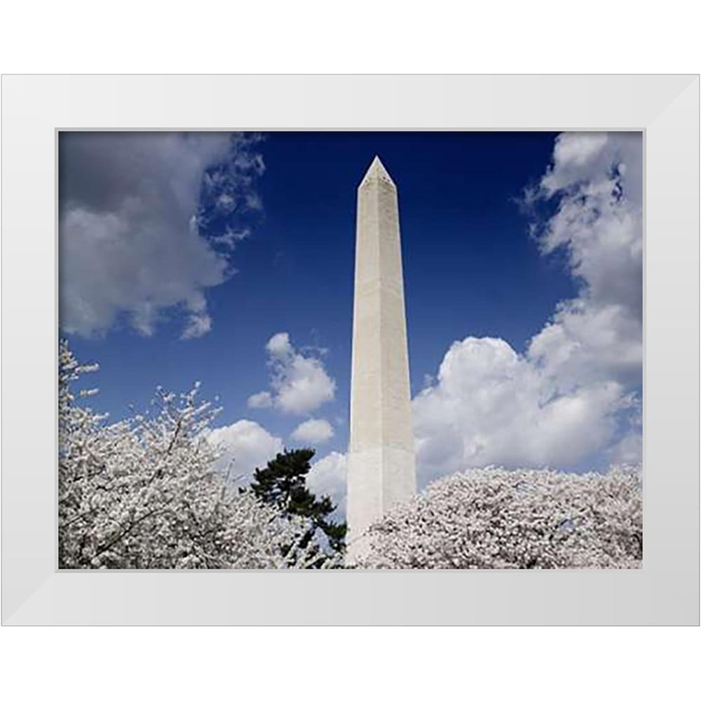 Highsmith, Carol 24x19 White Modern Wood Framed Museum Art Print Titled ...