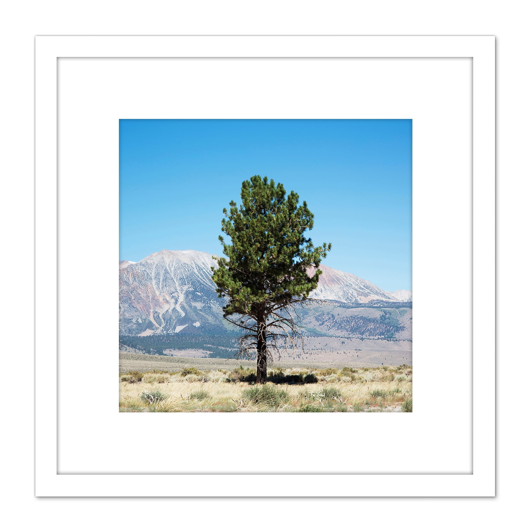 Highsmith Lone Tree Yosemite Landscape Photo 8X8 Inch Square Wooden ...