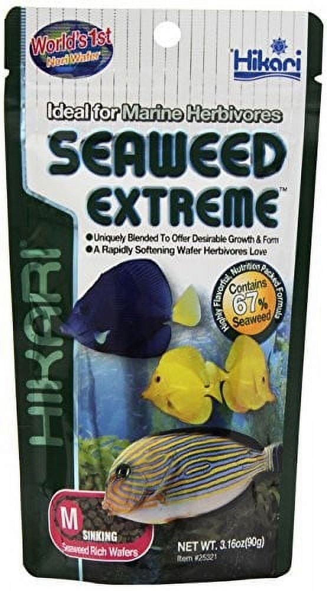 Hikari Seaweed Extreme Medium Pellet Fish Food, 3.16 Oz - Walmart.com