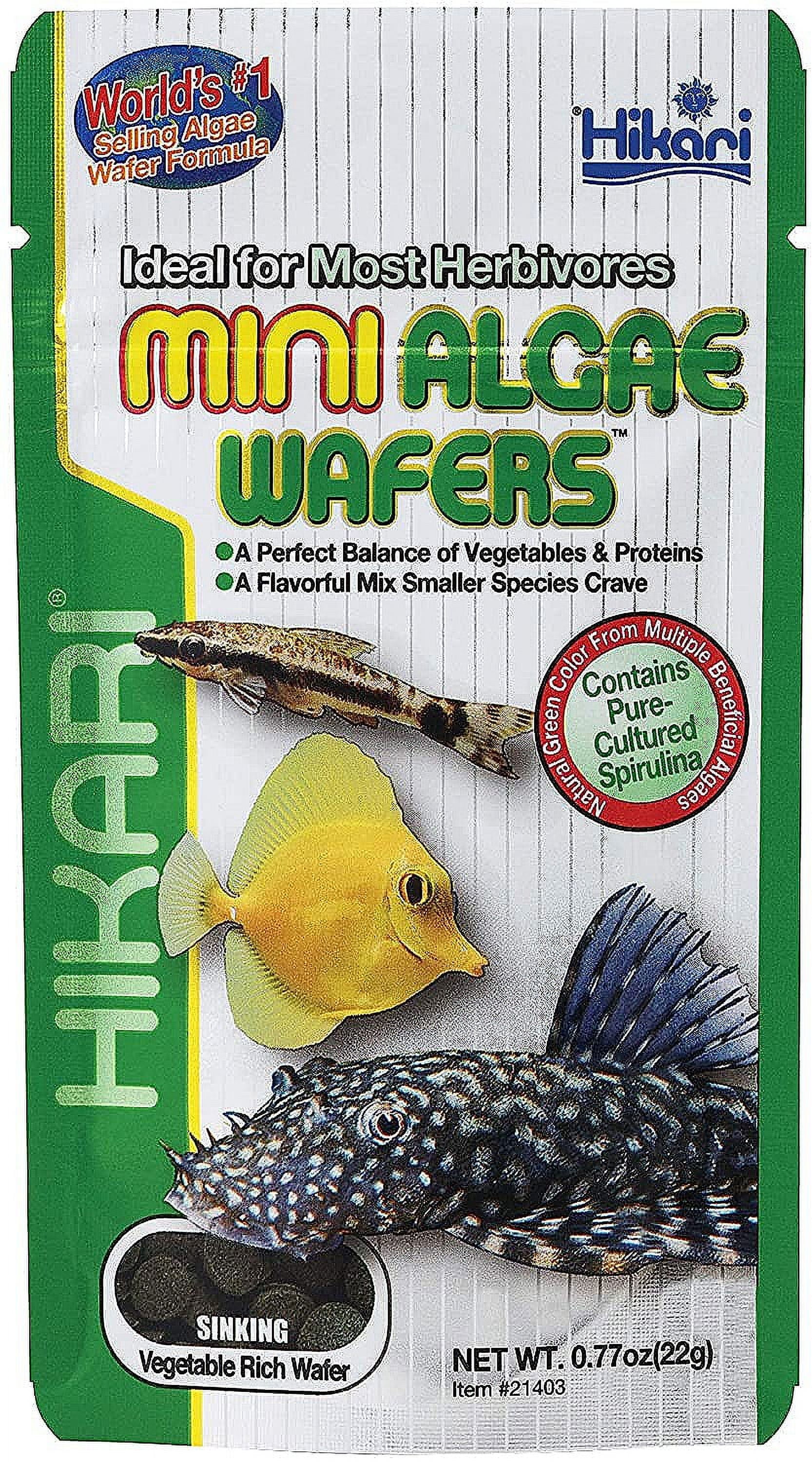 Hikari USA Algae Wafers Rapidly Sinking Wafer Fish Food - Walmart.com