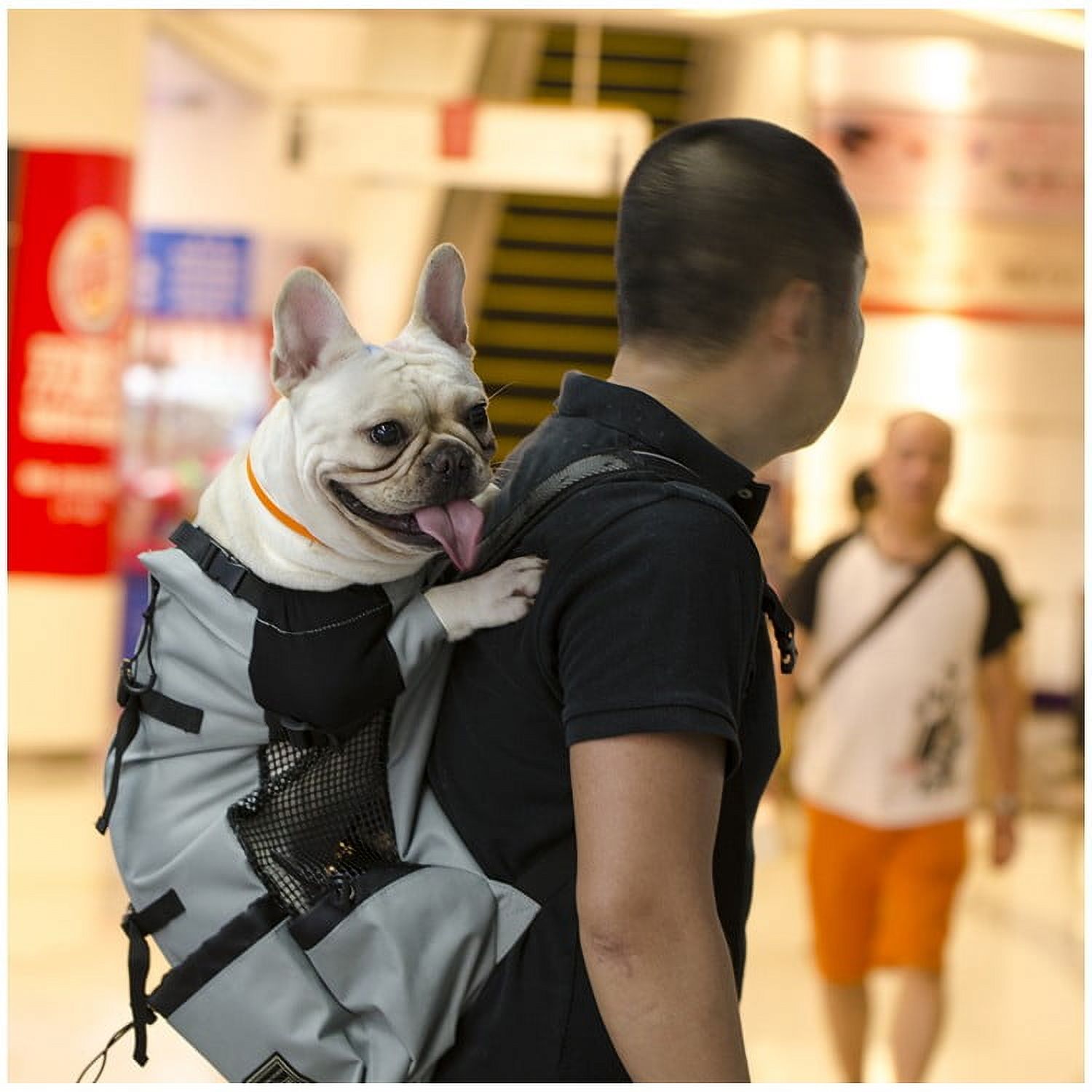 Hiking Pet Dog Carrier Travel Backpack Outdoor Ventilation Breathable ...