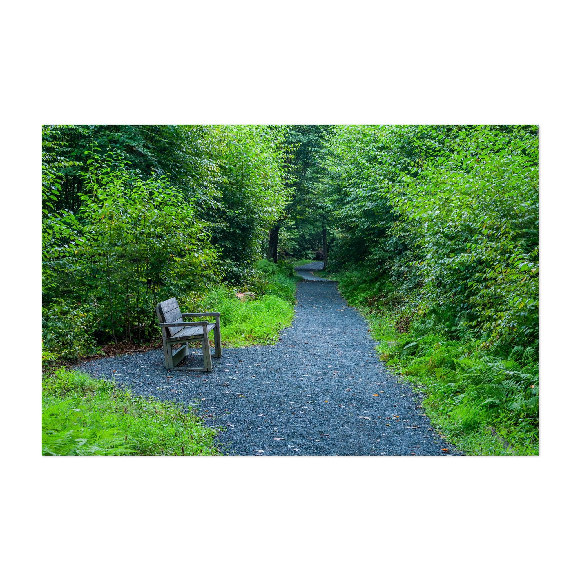 Hiking Trail Along Skyline Drive, Virginia - Stanley Virginia ...