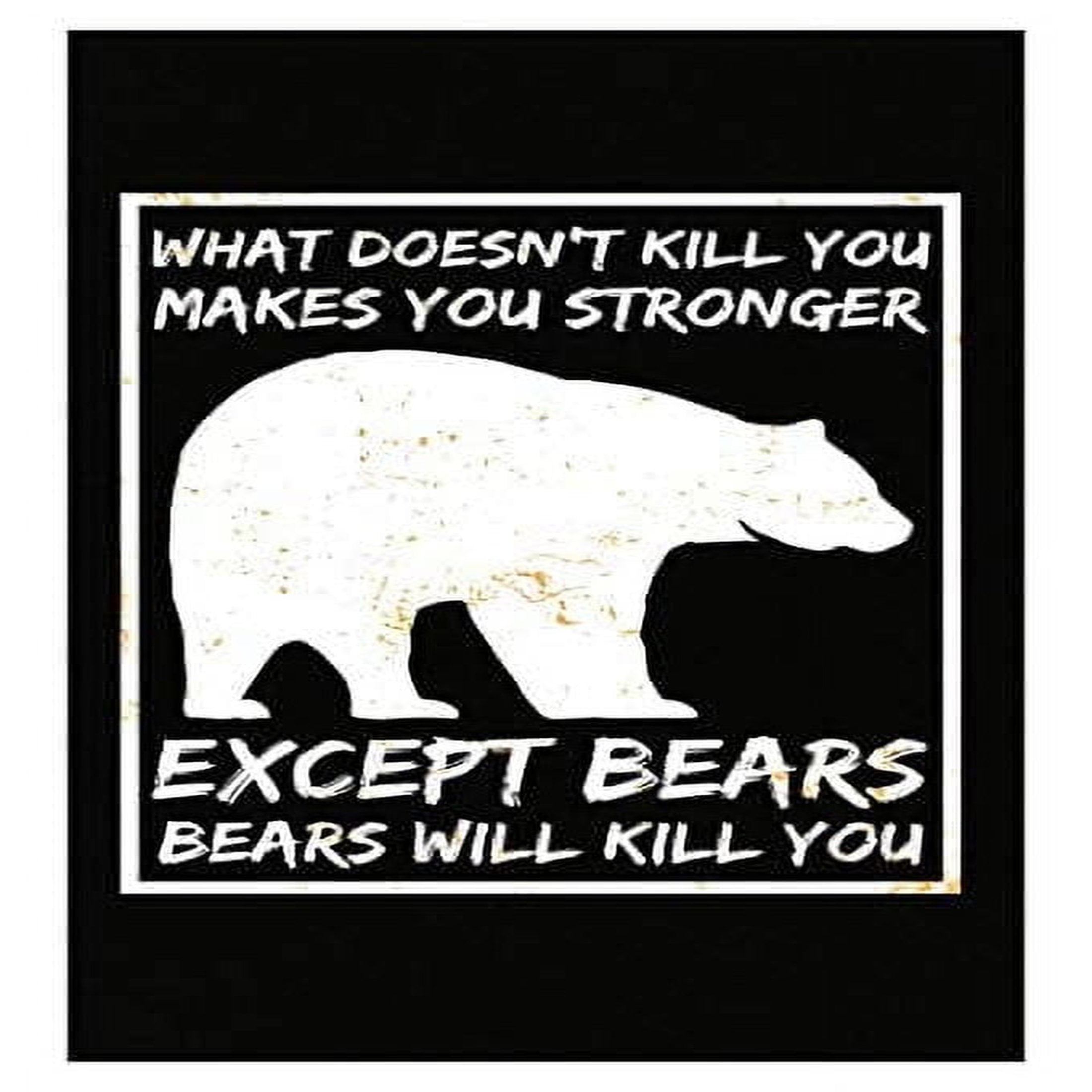 Hilarious Brown Bear Poster - "What Doesn't Kill You, Bears Will" Humor ...