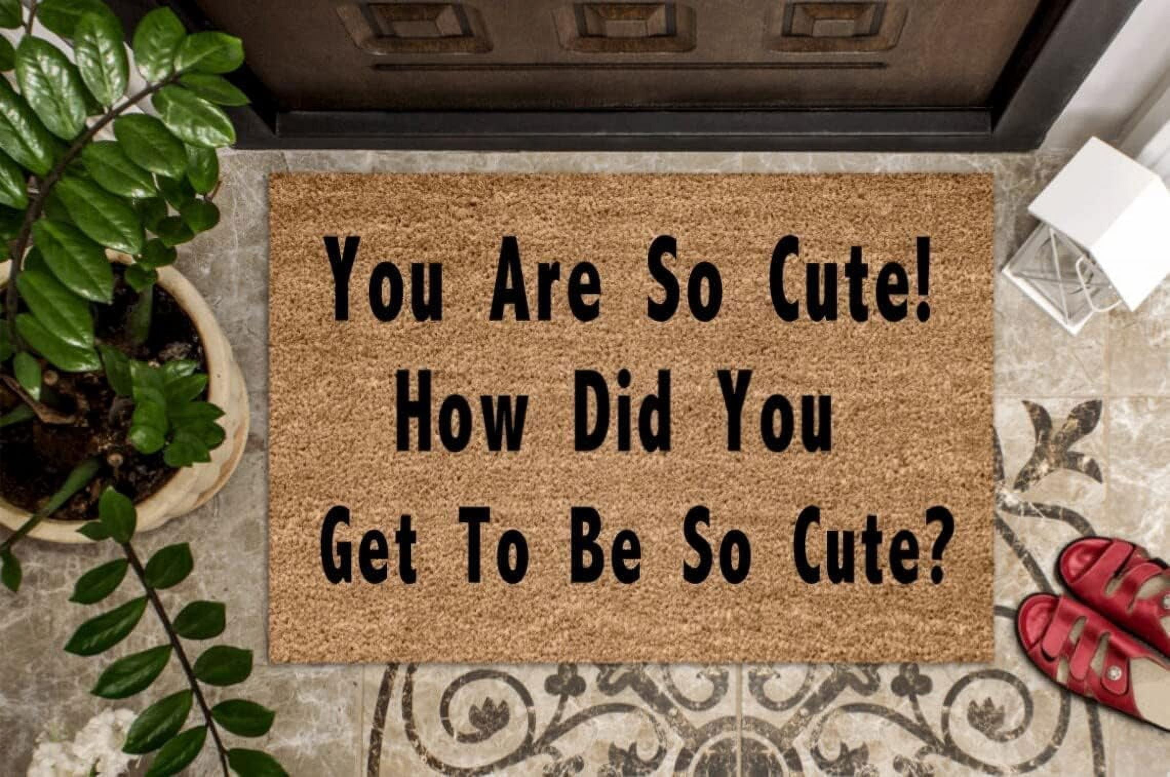 Hilarious Friends Memes Mat You are So Cute! Funny Meme Door Mat ...